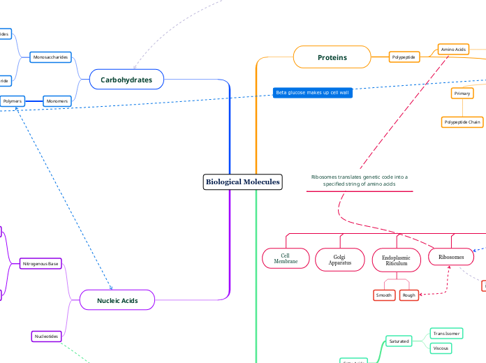 Biological Molecules - Mind Map